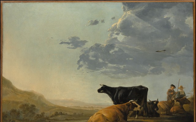 Traces of the Animal Past | Manifold at UCalgary Press