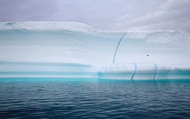Ice Blink | Manifold at UCalgary Press